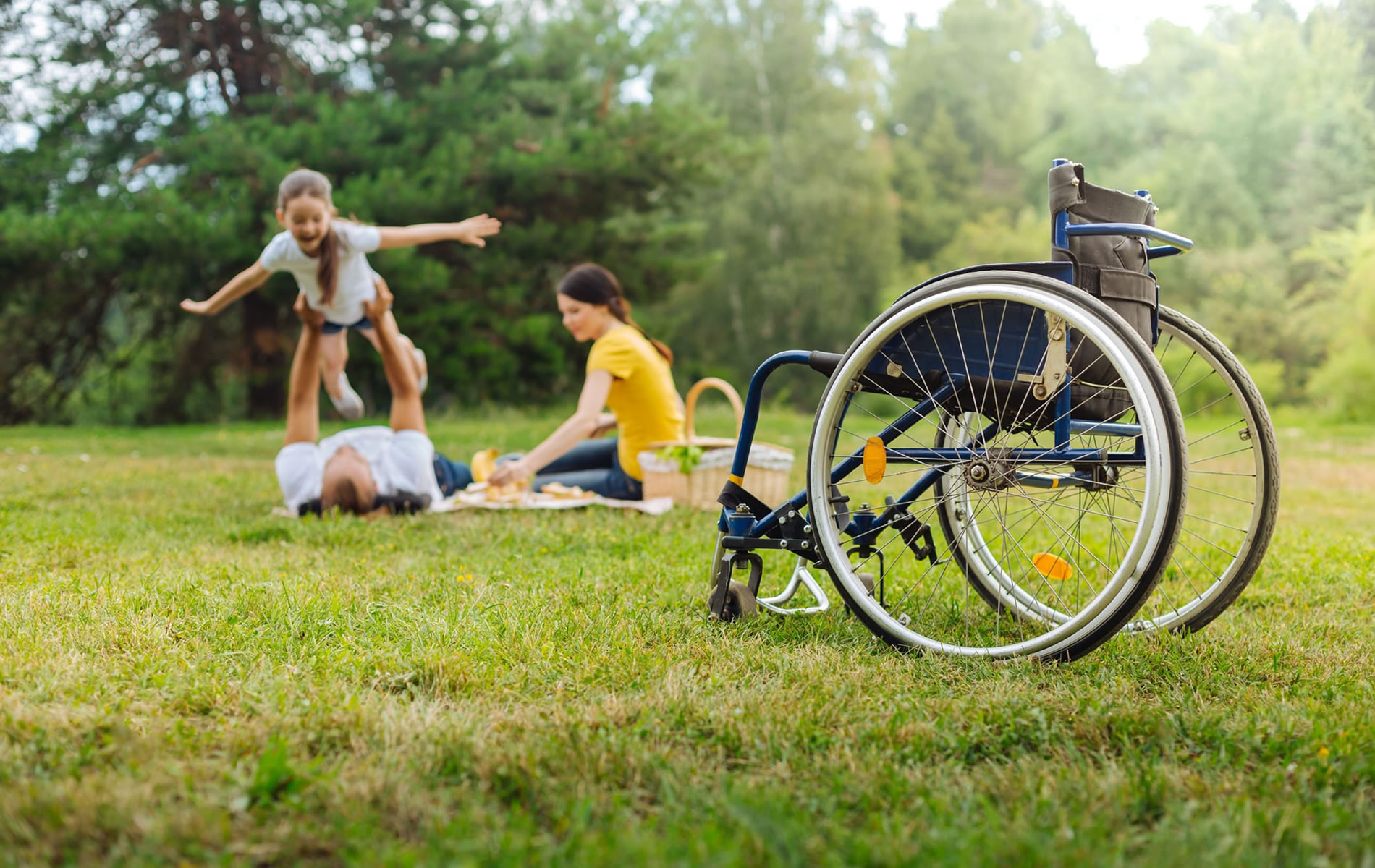 Death And Disability – Lion Life